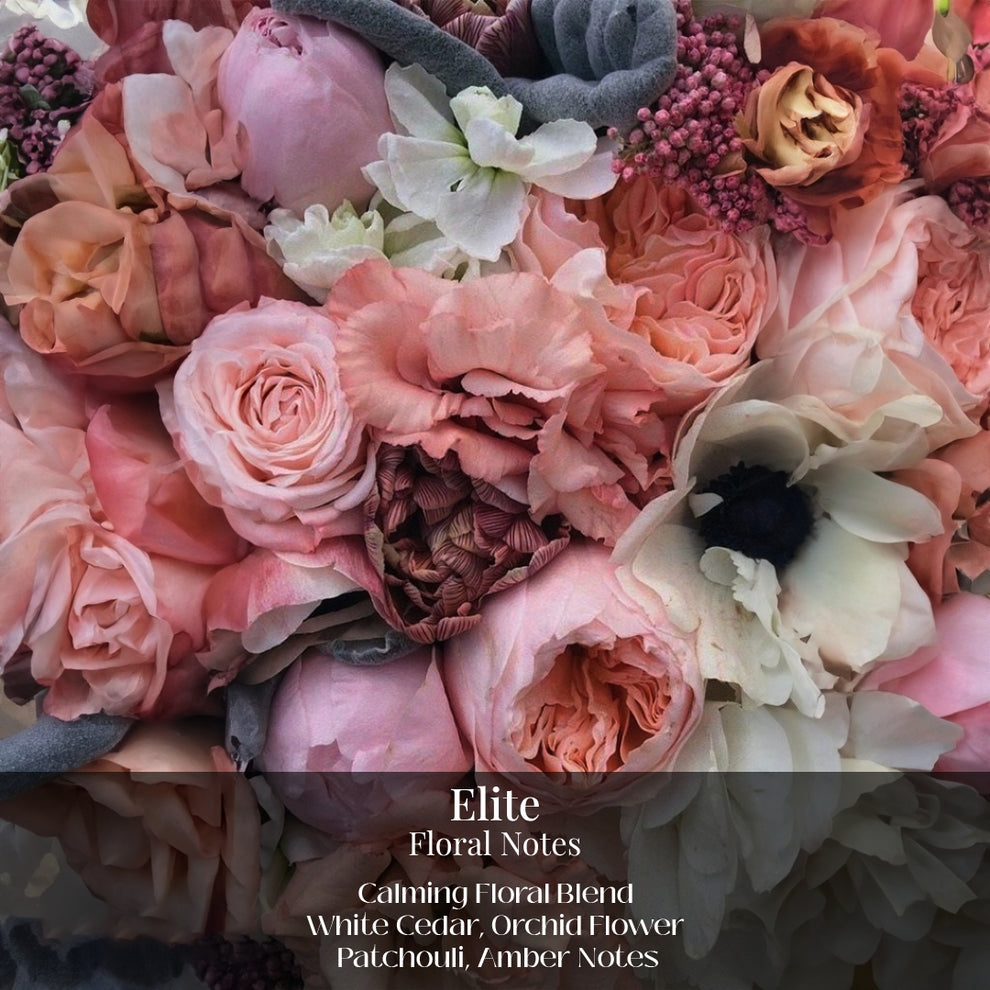 Elite – Joy Scent